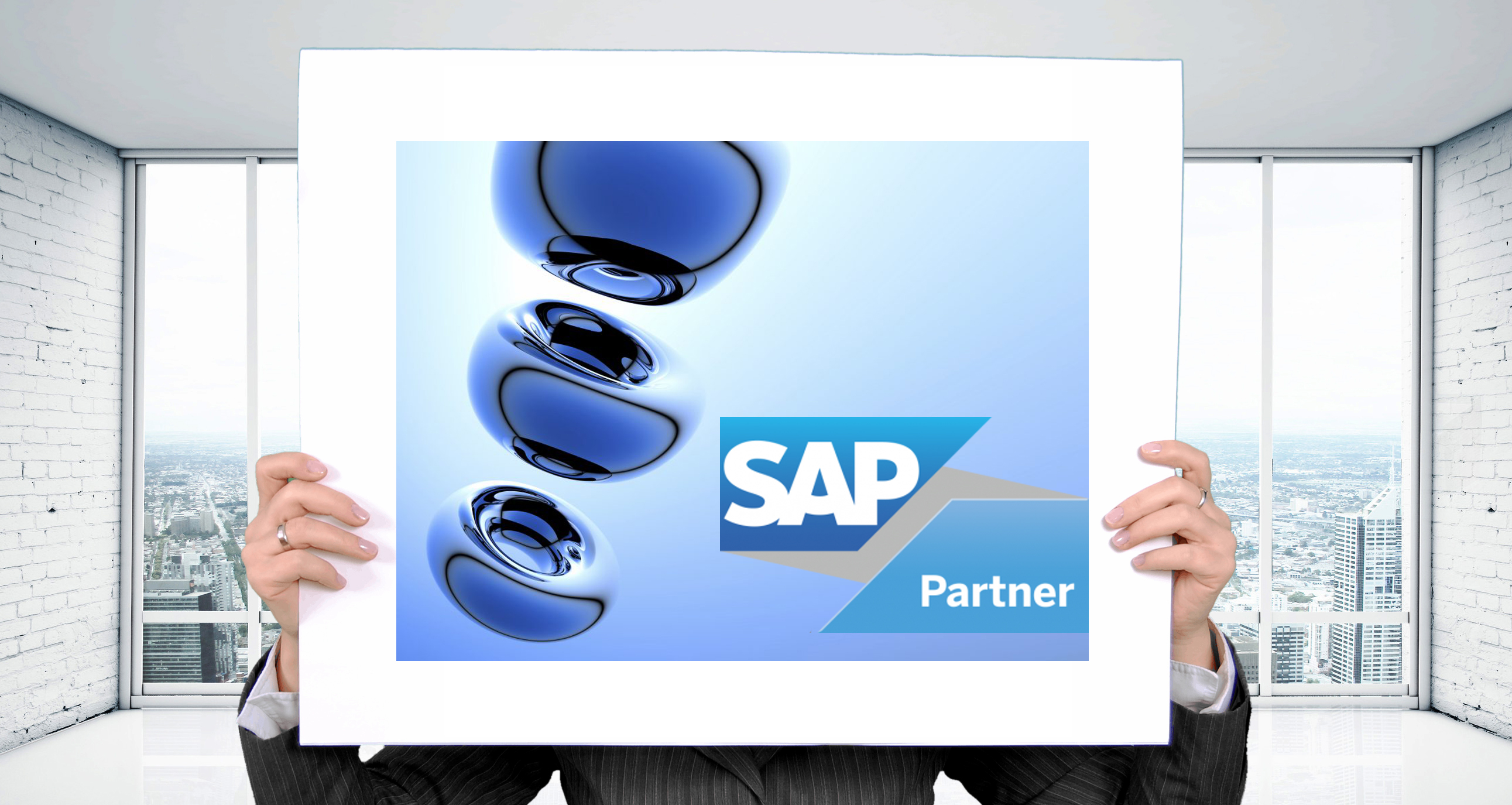 SAP Partner Finder